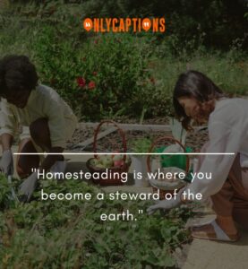 890+ Quotes About Homesteading (2025) Wisdom Revealed