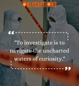 800+ Quotes About Investigative (2025) Wisdom Unearthed