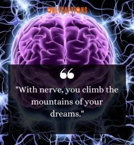 880+ Quotes About Nerve (2026) Bold Sayings Revealed