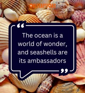 740+ Quotes About Seashells (2025) Ultimate Beach Wisdom