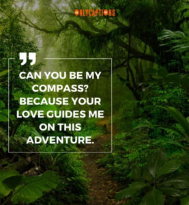 790+ Tropical Rainforest Pick Up Lines to Find Your Tarzan in 2025