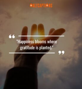 950+ Count Your Blessings Quotes (2025) Gratitude Gems