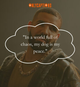 2300+ Drake Captions For Instagram to Elevate Your Style in 2026
