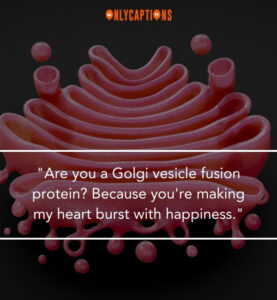 950+ Golgi Body Pick Up Lines (2025) Flirt Like a Scientist