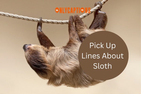 650+ Pick Up Lines About Sloth (2026) Lazy Love Lines