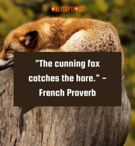 690+ Quotes About A Fox (2026) Insights into the Fox's Mind