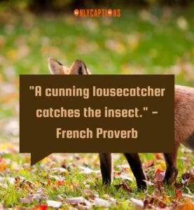 690+ Quotes About A Fox (2025) Insights into the Fox's Mind