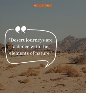 690+ Quotes About Desert (2025) Wisdom Sands