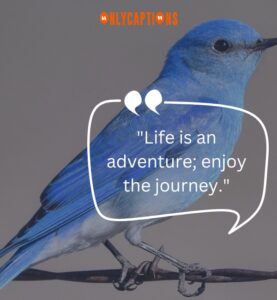 870+ Real Twitter Quotes for Viral Sensations of 2026
