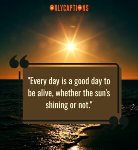 830+ Sun Quotes (2025) Sparkle with Celestial Sayings