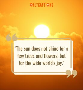 830+ Sun Quotes (2025) Sparkle with Celestial Sayings