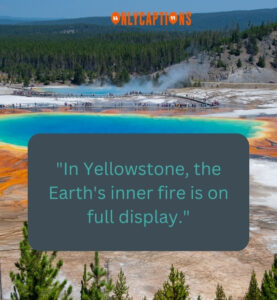 610+ Yellowstone National Park Quotes (2025) Nature's Whispers
