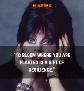 900+ Elvira Quotes (2025) Daring Sayings That Will Bewitch You