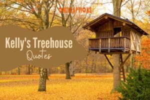 810+ Kelly's Treehouse Quotes (2025) Discover Soulful Insights
