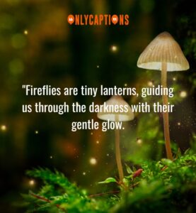 770+ Quotes About Firefly (2026) Spark Your Imagination
