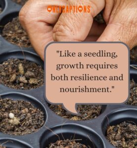 900+ Quotes About Seedling (2025) Harvesting Hope & Joy