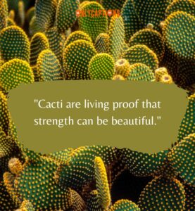 930+ Cactus Quotes To Unveil The Mystery In 2025