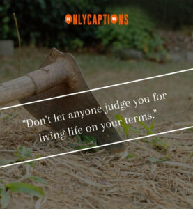 910+ Hoe Quotes (2025) Planting Punchlines In Your Mind