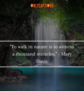 930+ Paradise Quotes To Find Your Slice Of Heaven In 2025