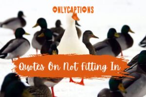 750+ Quotes On Not Fitting In (2026) Unfit & Proud Vibes