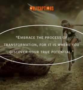 740+ Quotes About Transformation Tuesday (2025) Evolve Today