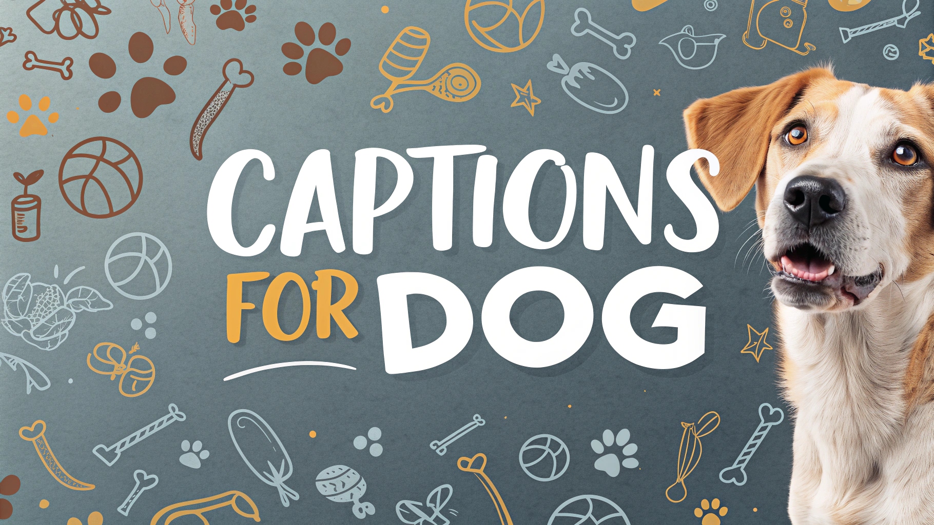 350+ Best Dog Captions: Funny, Cute & Pawsome Ideas 2026