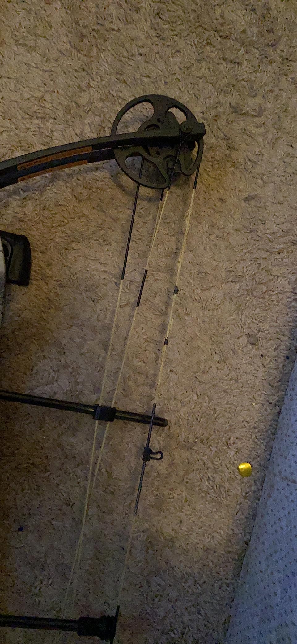 12 Best Youth Compound Bows (May 2026) Expert Reviews