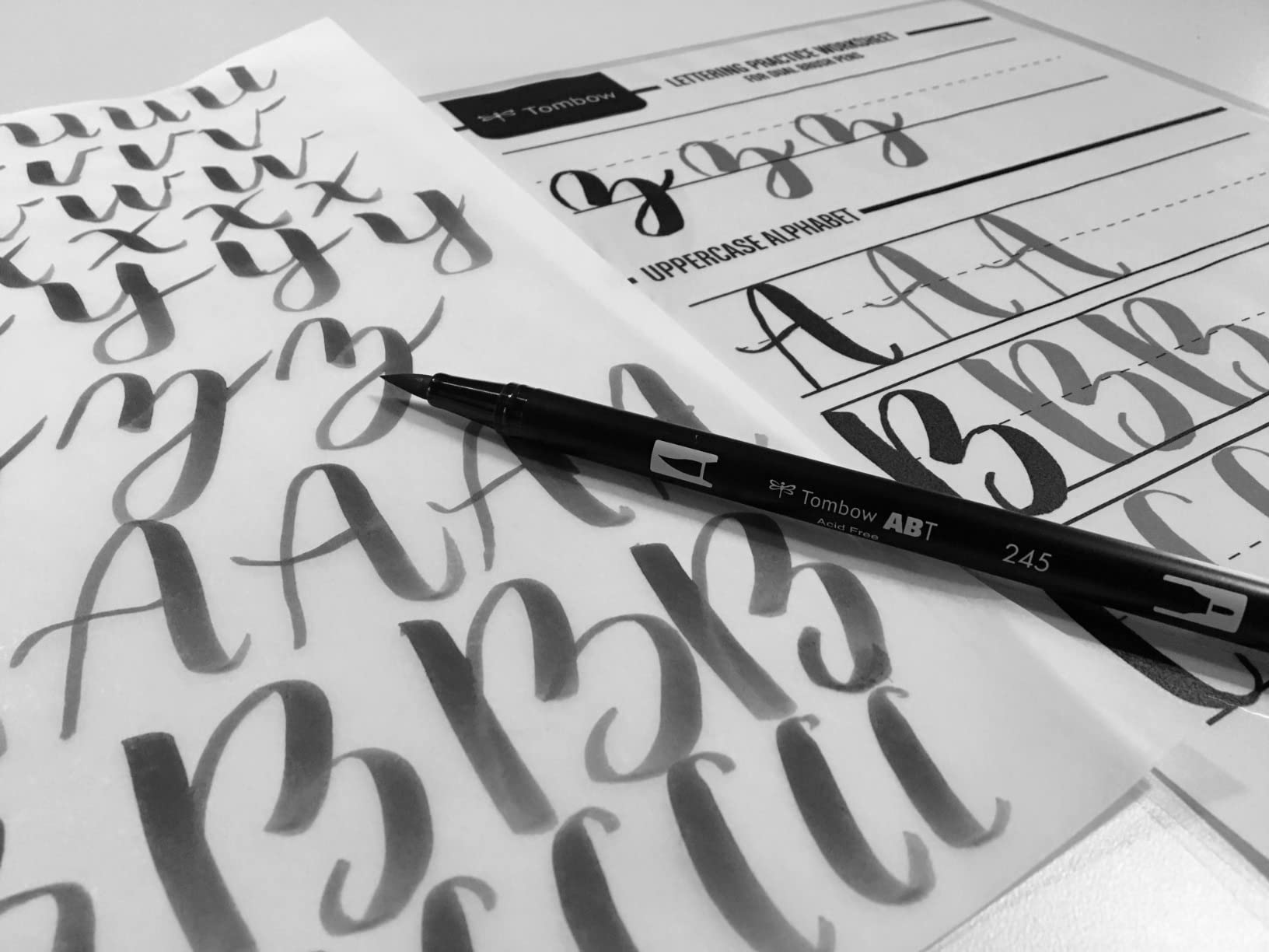 17 Best Calligraphy Pens for Beginners (May 2026) Expert Guide