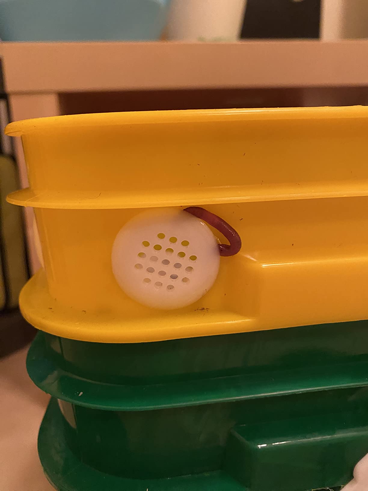 10 Best Worm Composting Bins (May 2026) Expert Reviews
