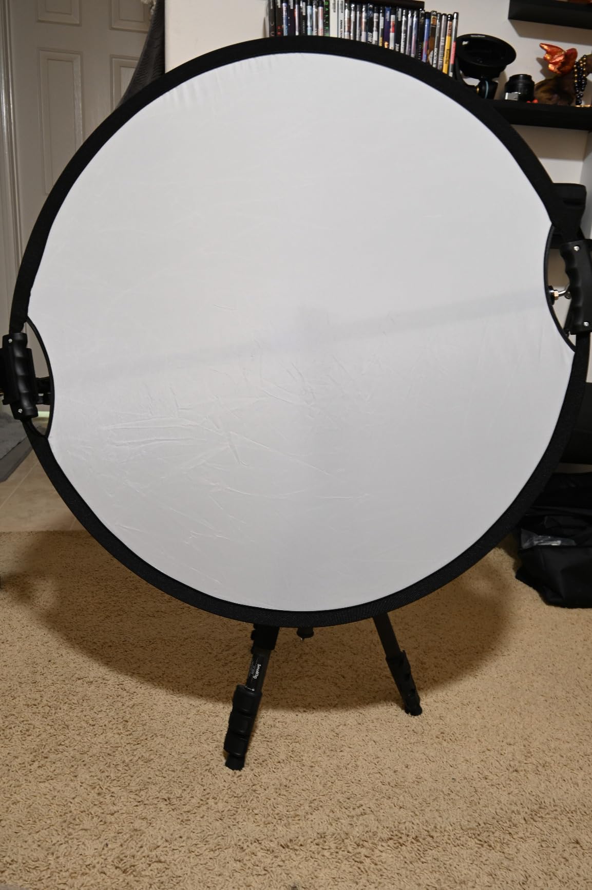 6 Best Photography Reflectors for Outdoor Portraits (June 2026) Expert ...