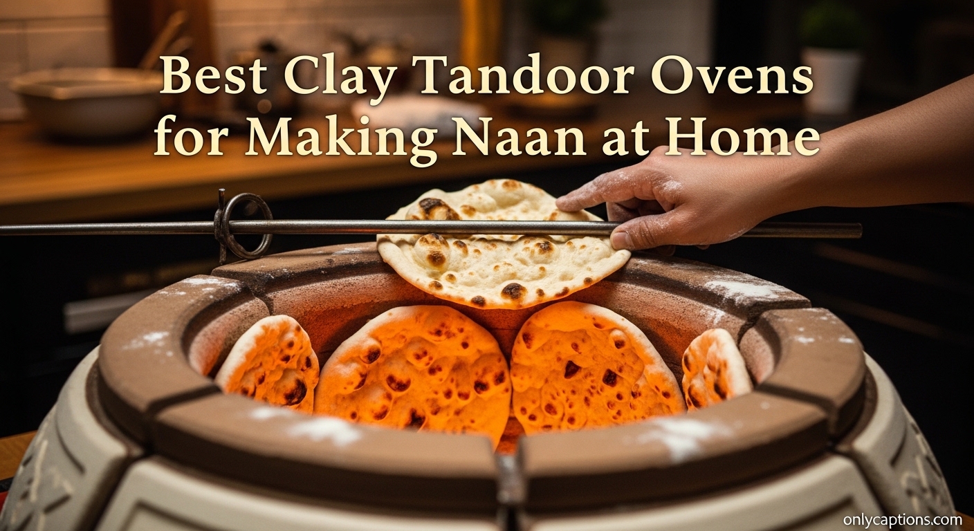 8 Best Clay Tandoor Ovens for Making Naan at Home (May 2026) Expert Reviews
