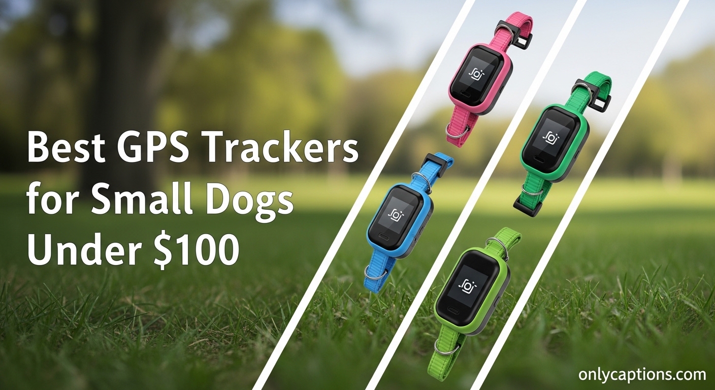8 Best GPS Trackers for Small Dogs Under $100 (May 2026) Complete Guide