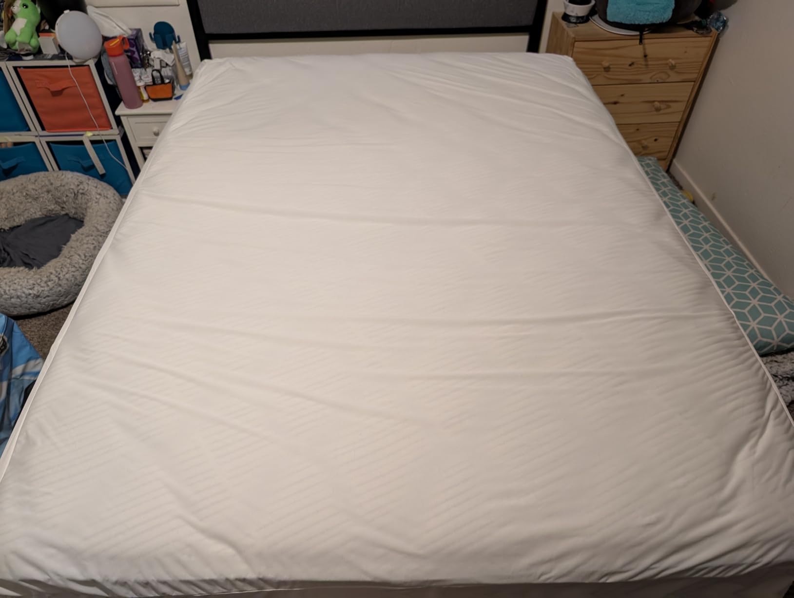 10 Best Waterproof Mattress Protectors (June 2026) Expert Reviews
