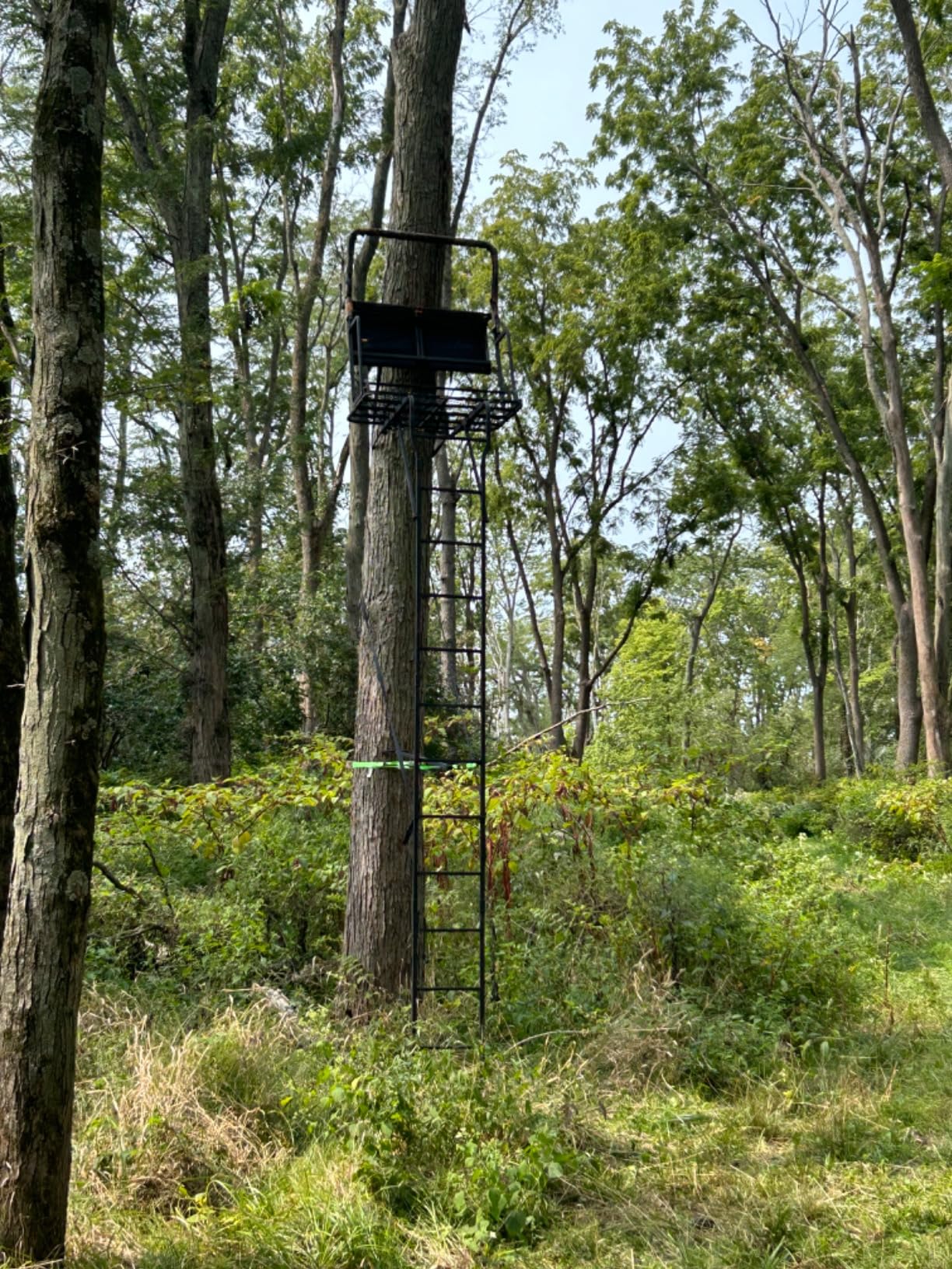 10 Best Two Person Ladder Stands (May 2026) Expert Reviews